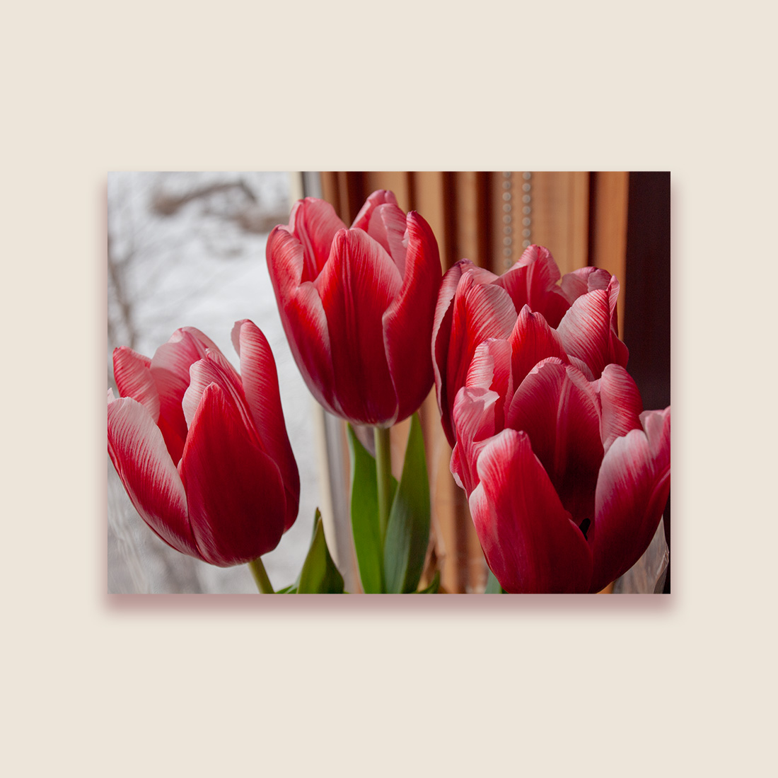 About Us - Caroline Grace Design